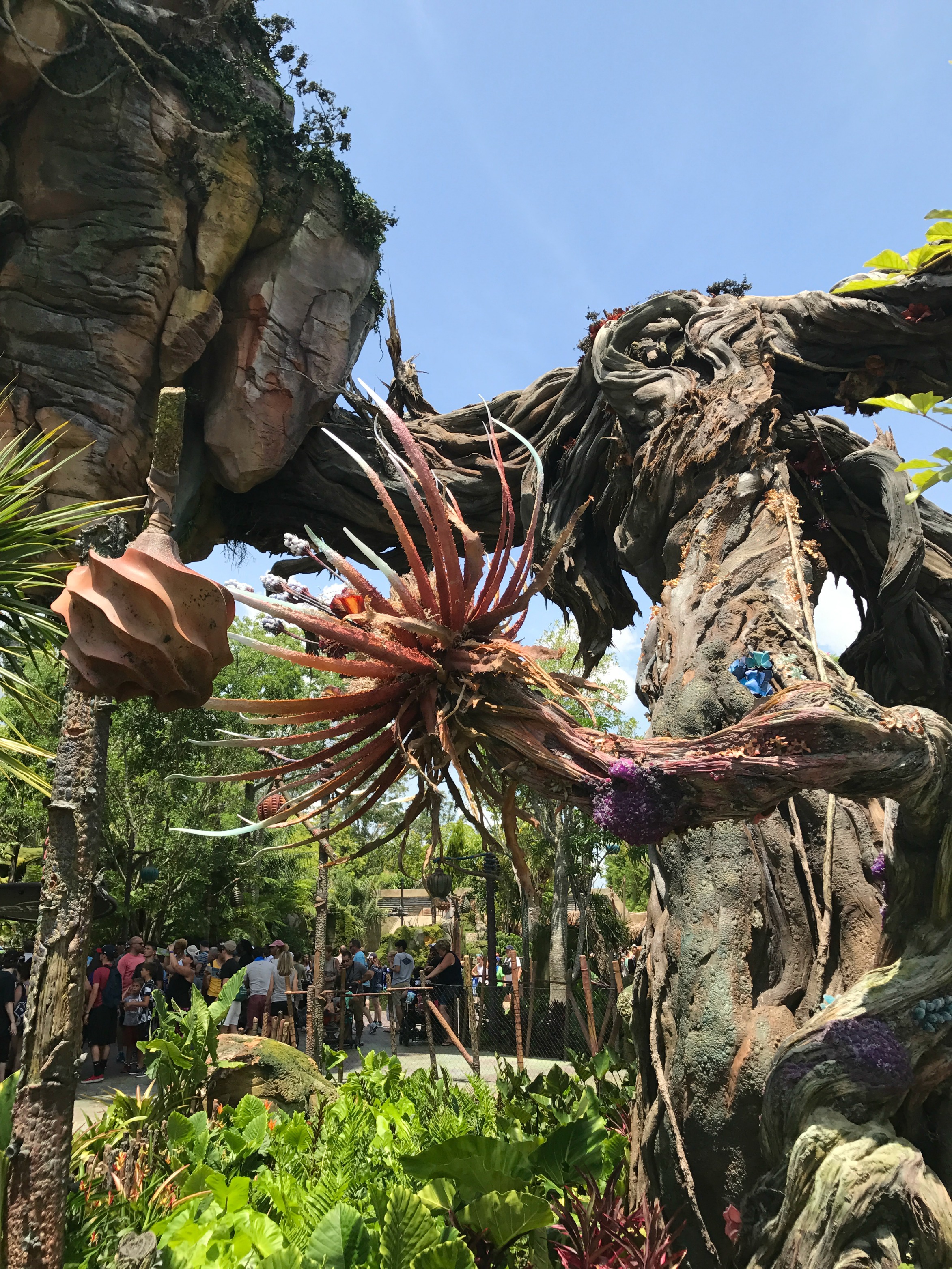 A Complete Guide to Visiting Disney's Pandora; The World of Avatar!