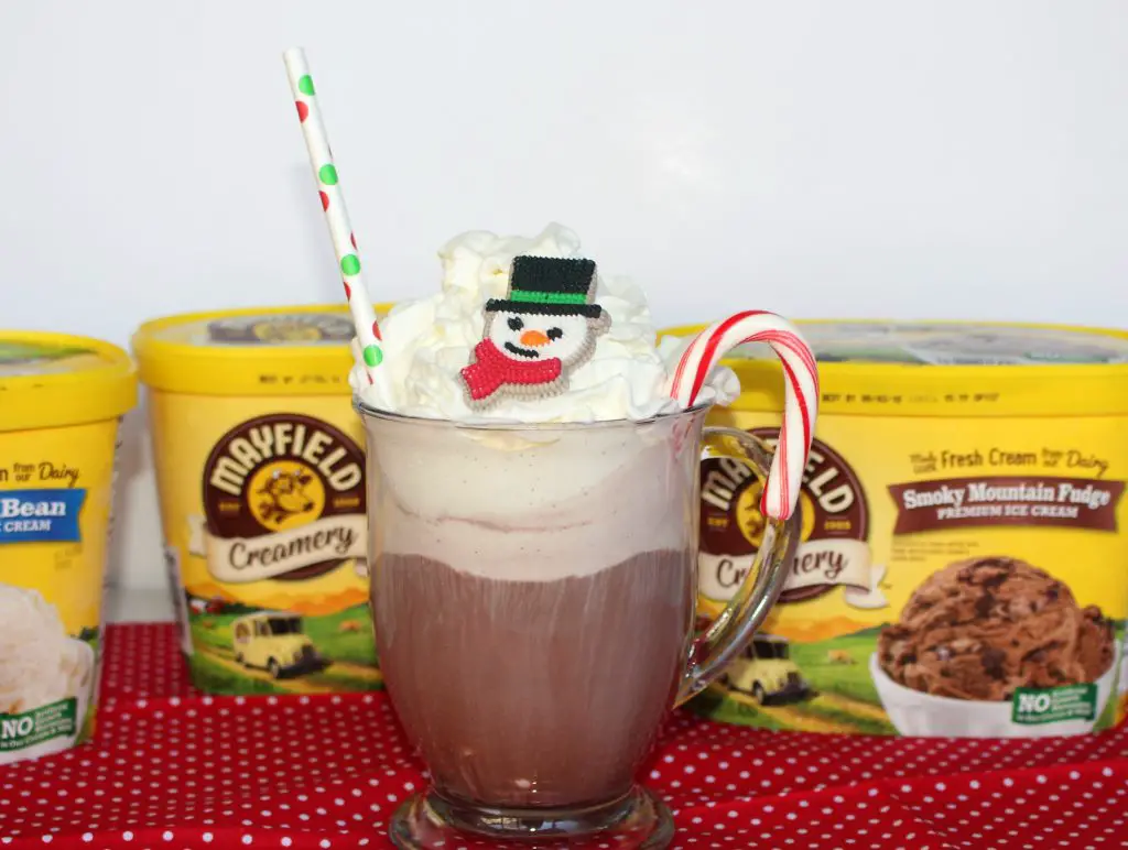 Hot Chocolate Floats - Holiday Traditions with a Florida Twist! - The ...
