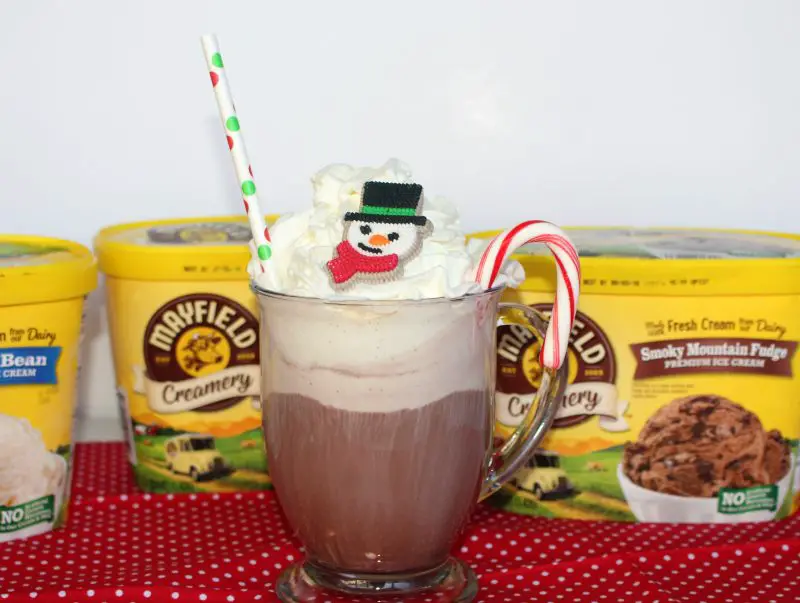 Hot Chocolate Floats - Holiday Traditions with a Florida Twist! - The ...