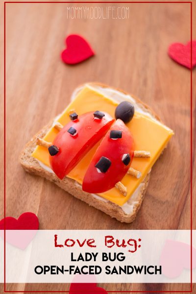 Easy and Fun Ladybug Open-Faced Sandwich Lunch Recipe