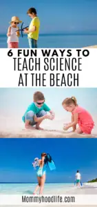 6 Ways to Teach Science at the Beach this Summer
