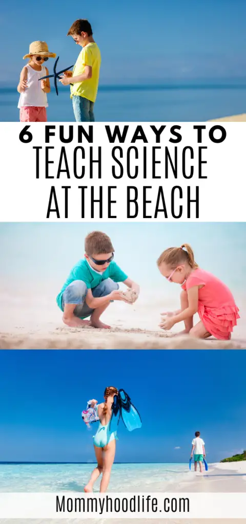 6 Ways to Teach Science at the Beach this Summer
