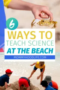 6 Ways to Teach Science at the Beach this Summer